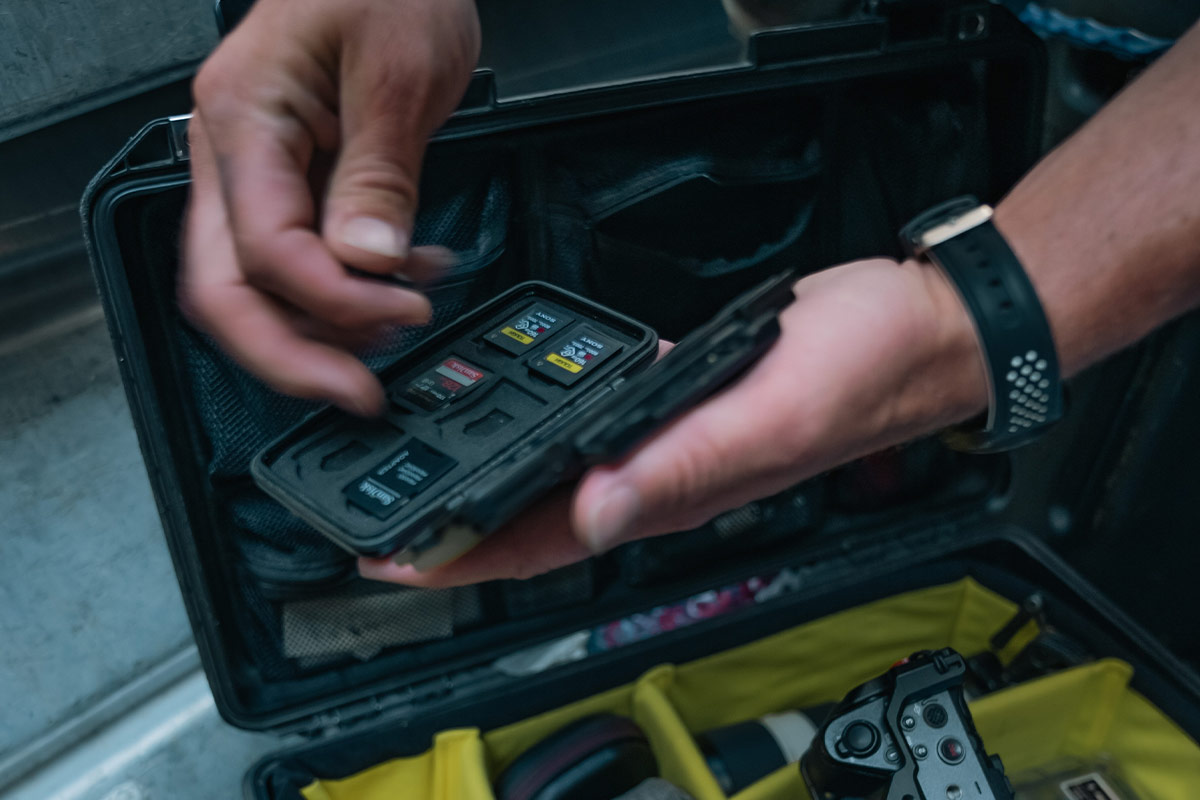 Photography | Pelican