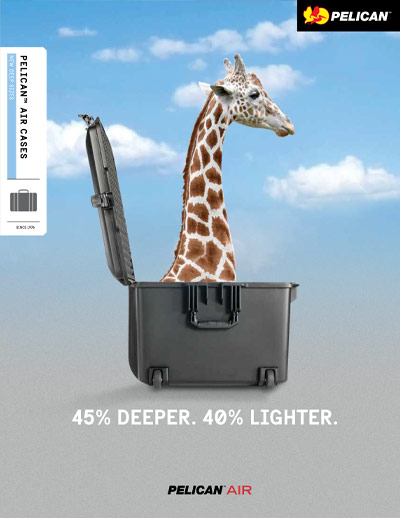 Catalogs and Brochures | Pelican